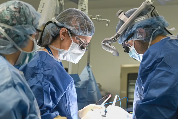 The Pediatric Craniofacial Program at UBNS | UB Neurosurgery